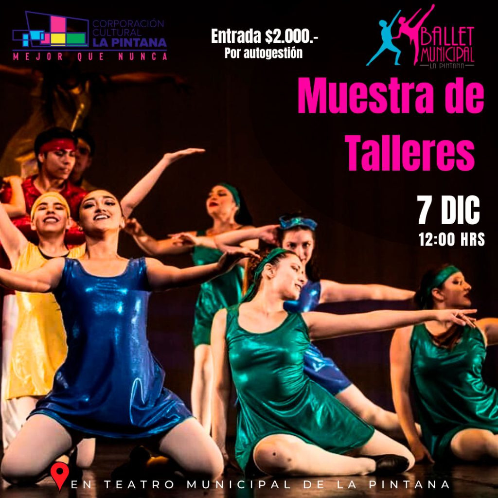 CORPORACIÓN CULTURAL DE LA PINTANA